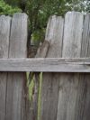 Replace Your Fence | Texas Best Fence & Patio